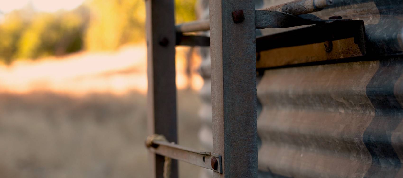 Home | Wild Diamond Vineyards